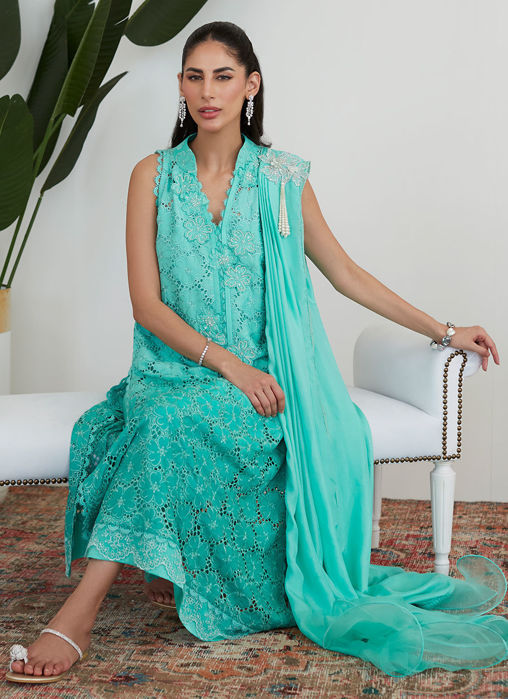 Ready to Ship Pakistani Luxury Pret - Farah Talib Aziz