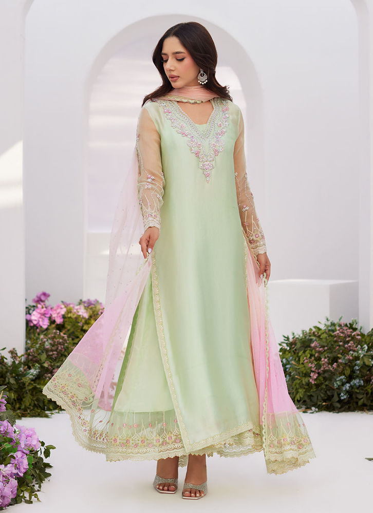 Collette Mint Ombre Embellished Column Kalidaar With Embroidered Slip ...